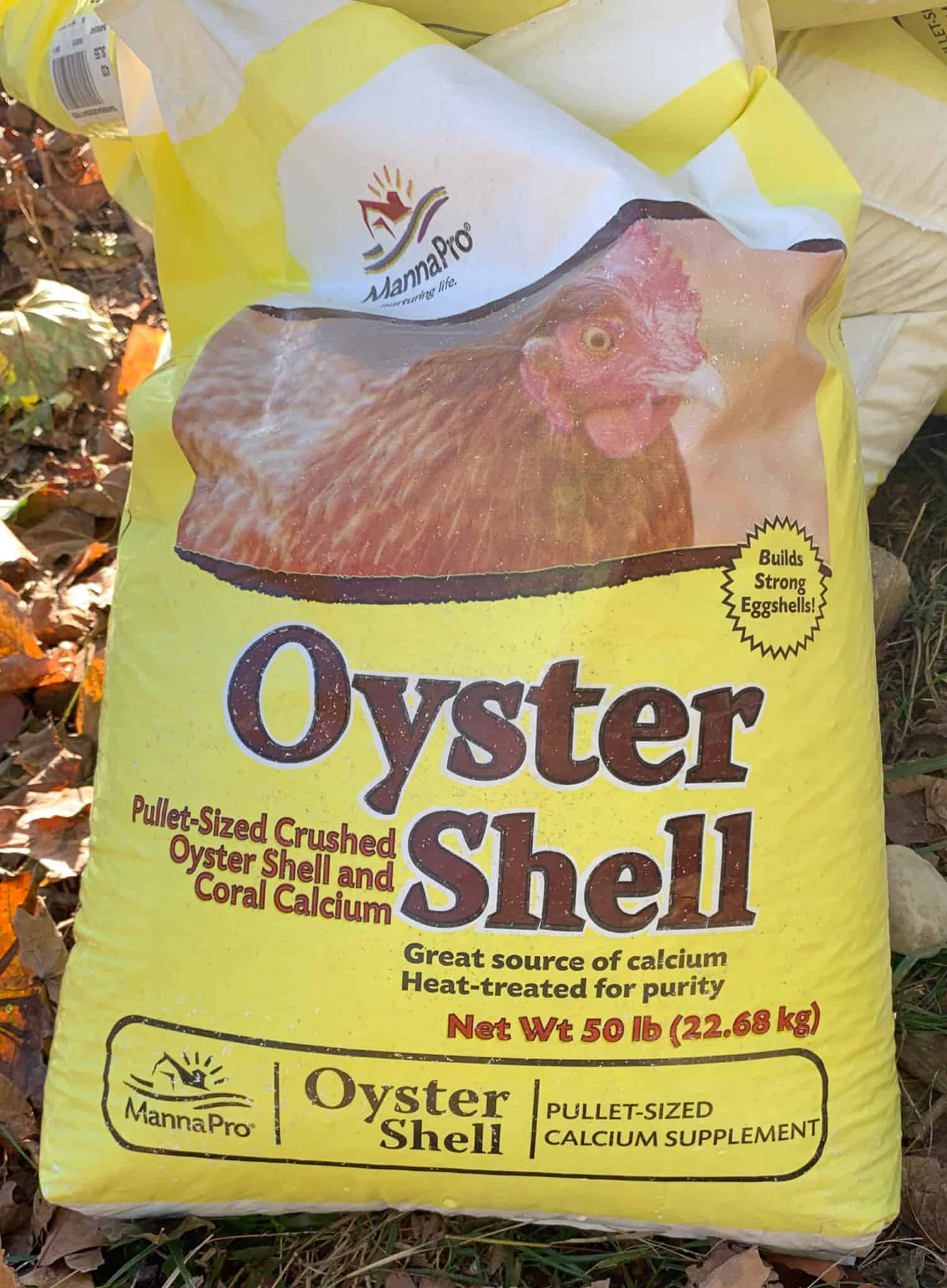 Installing an Oyster Shell Patio and Garden Path | Fixing Our Historic ...